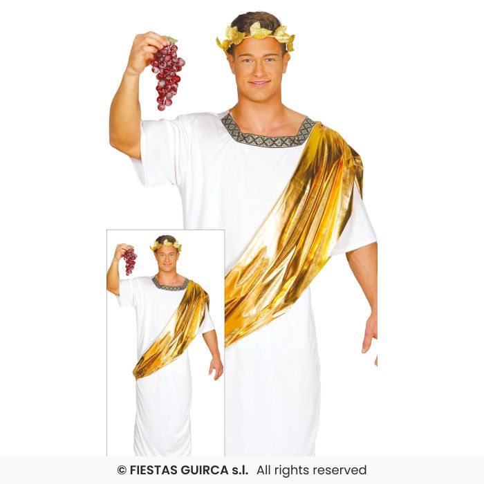Roman Caesar Costume Mens Toga Party Fancy Dress Outfit National Dress ...
